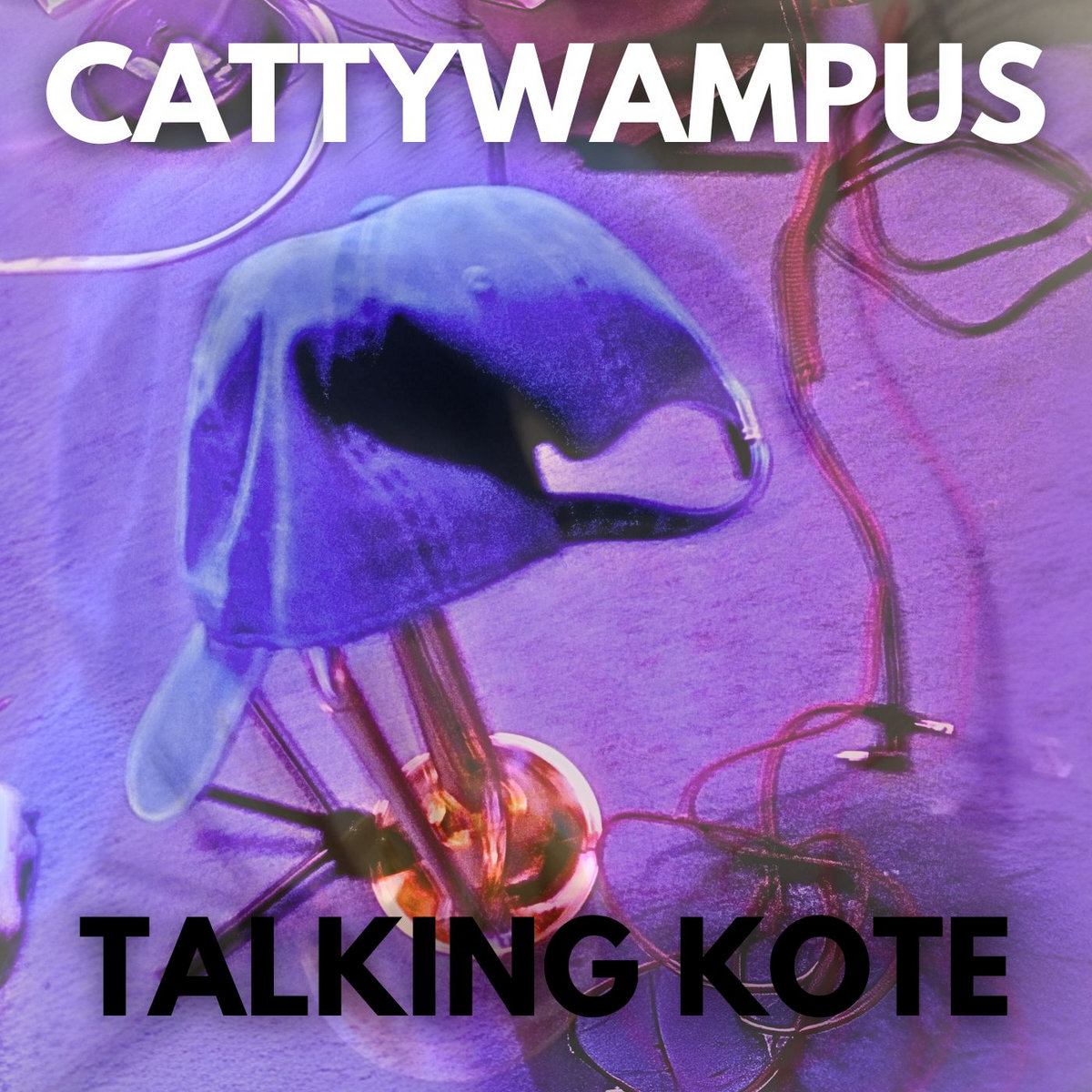 CATTYWAMPUS | Talking Kote
