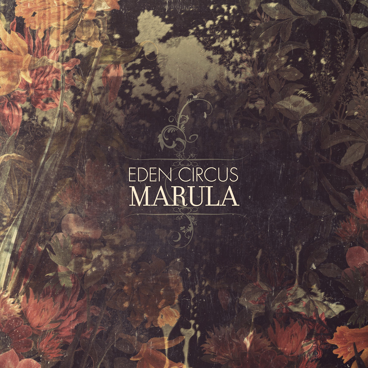 Marula | Eden Circus