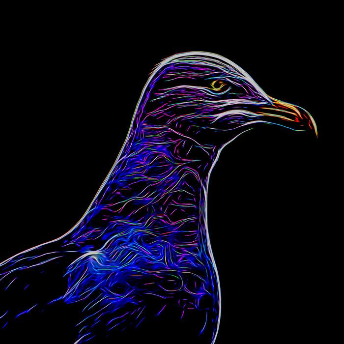 Dan Murphy's | Major Bummer