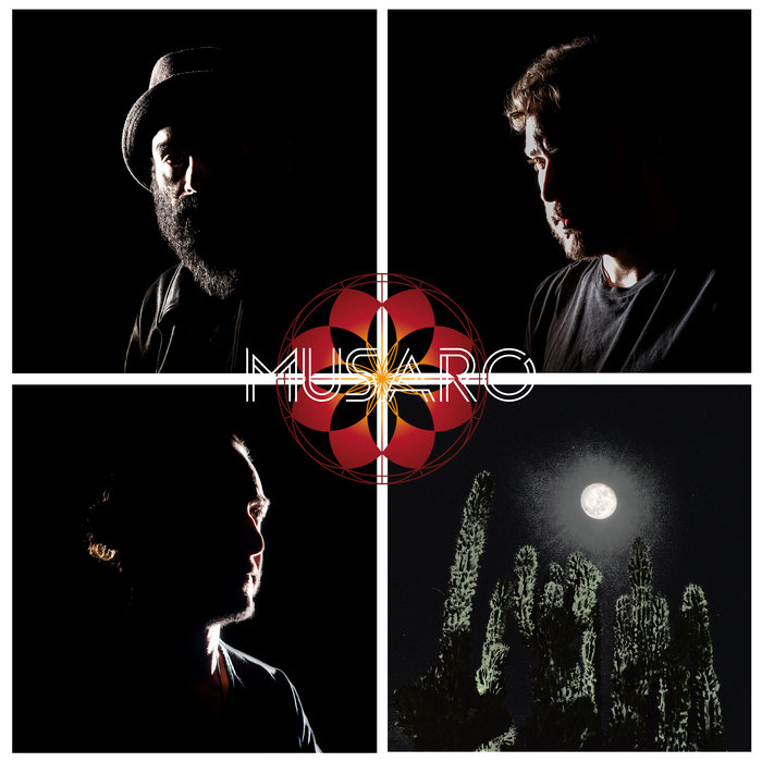 Musaro - los Vedas - | MUSARO