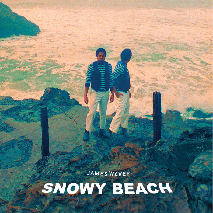 "Snowy Beach" | James Wavey | Dandy Boy Records