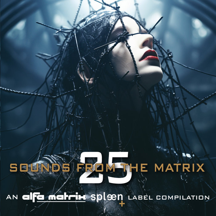Sounds From The Matrix 025 | VARIOUS ARTISTS | Alfa Matrix