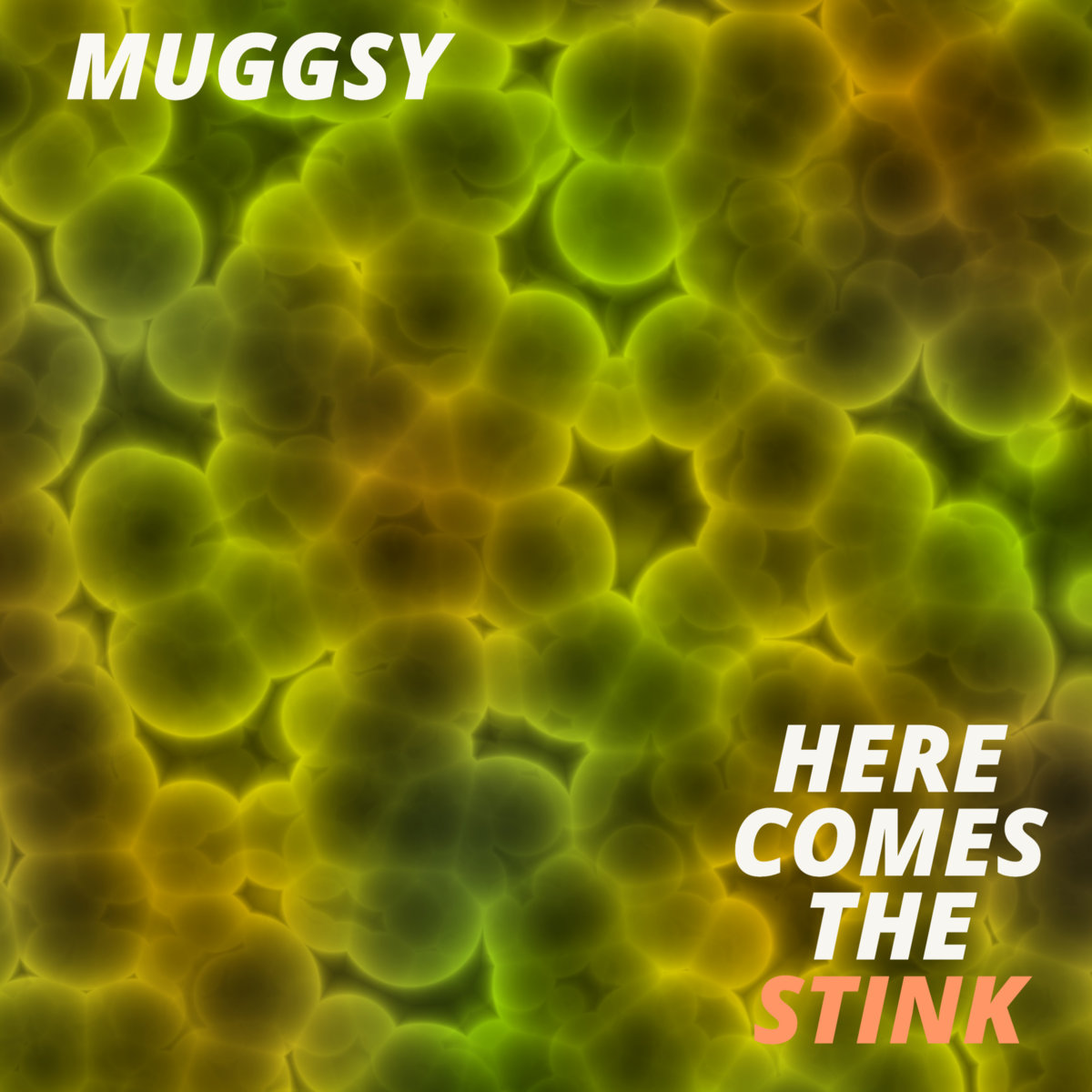 Here Comes The Stink | Muggsy