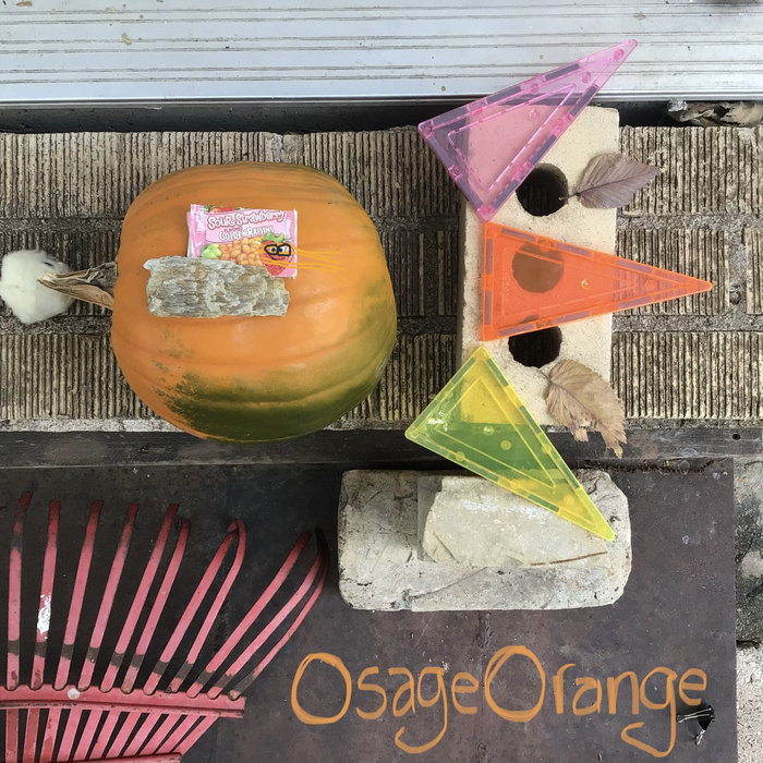 Osage Orange | Sour Strawberry Flavored Golden Raisins