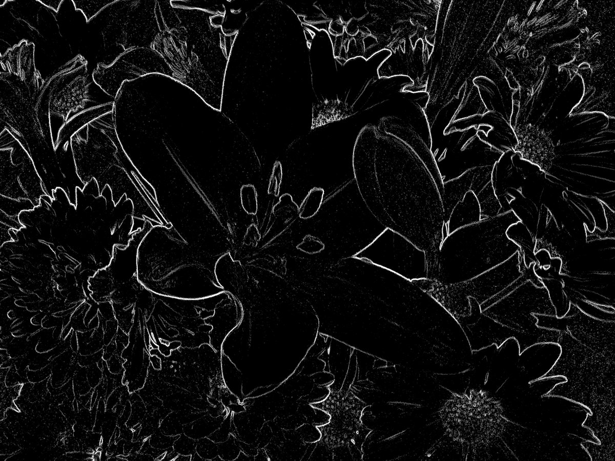 Depress | Mike Braudrick