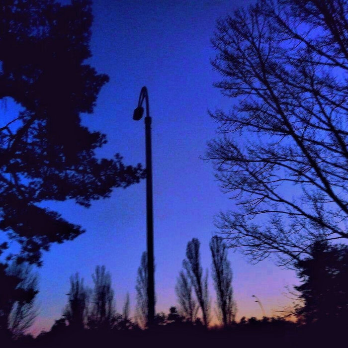 Escapes | Rusty Forest