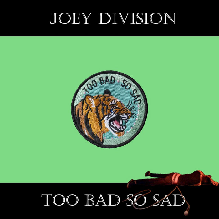 Too Bad So Sad Joey Division too-bad-so-sad-joey-division