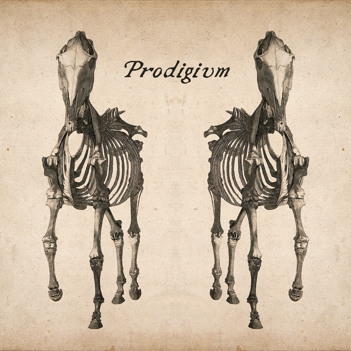 Prodigium | Prodigium