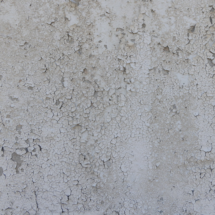 EVP 1 | Patrick Quin | Machine Tribe Distribution