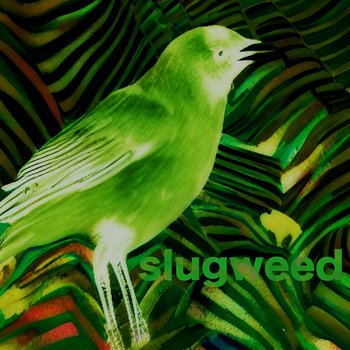 Music | SlugWeed
