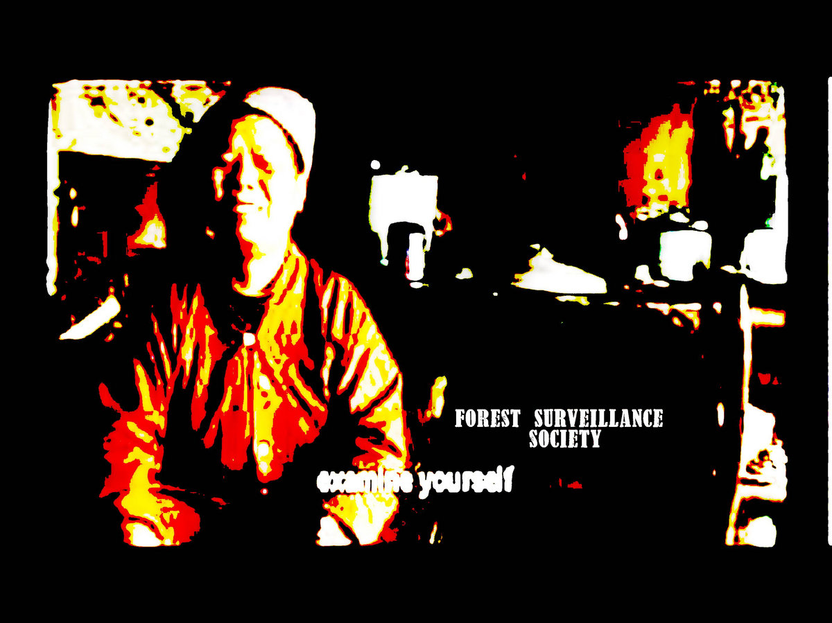 The Nun from Canton | Forest Surveillance Society | Jimmy Townsend