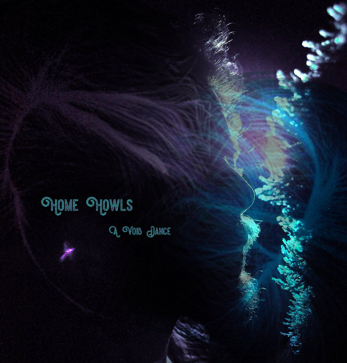 A Void Dance | Home Howls