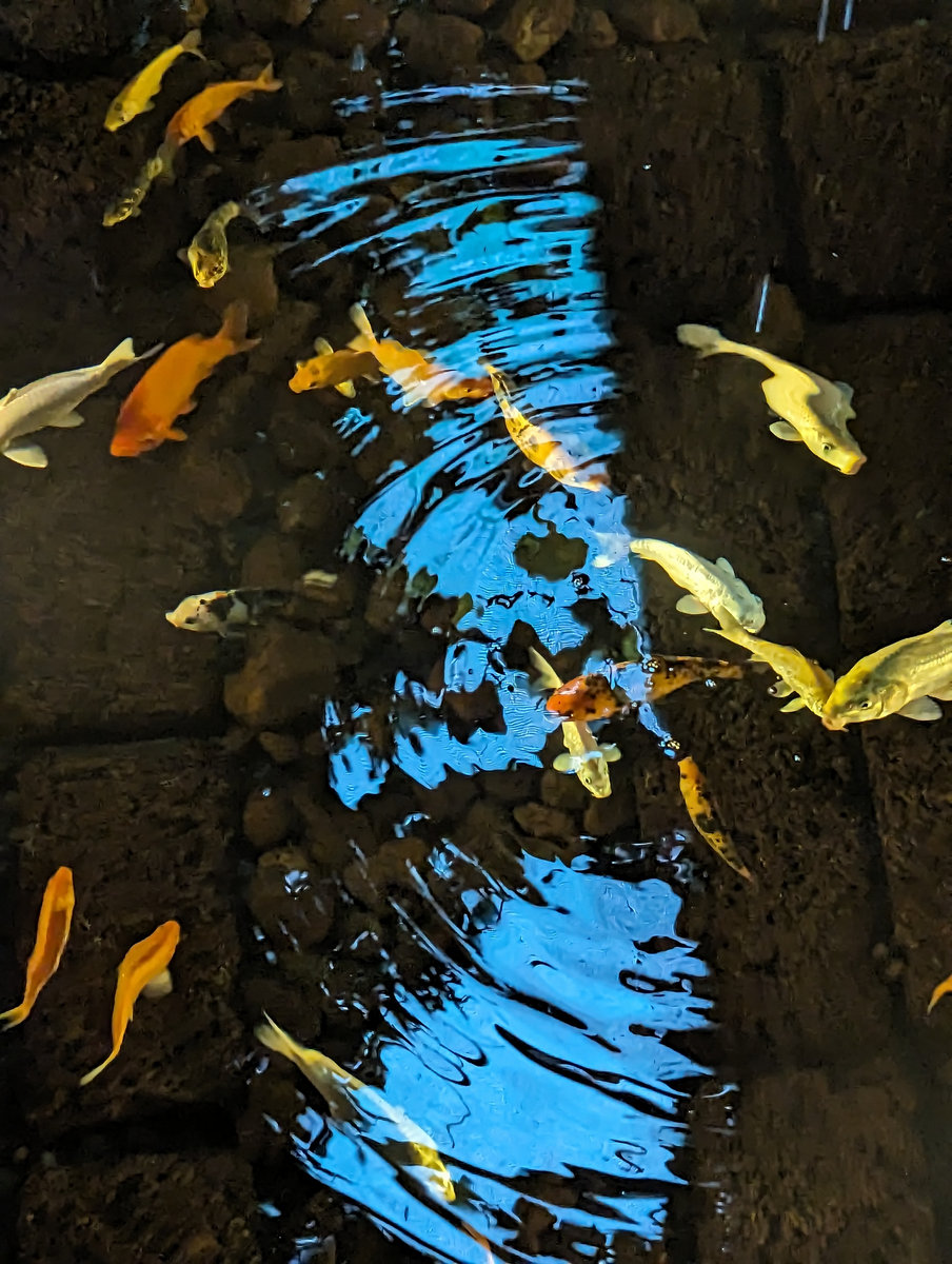 A Pond of Nouns | David Braden and Mark Zucker | David Braden