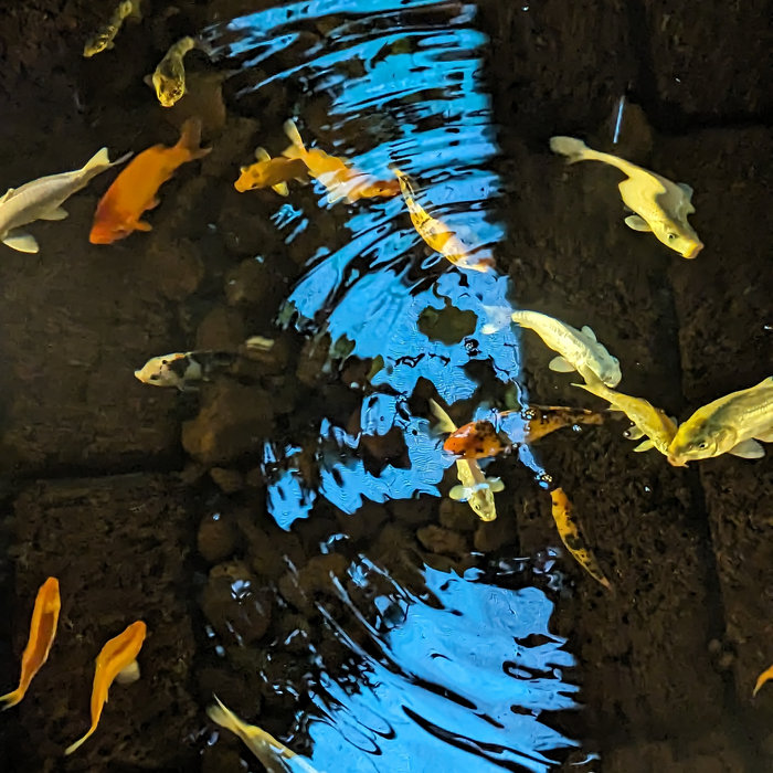 A Pond of Nouns | David Braden and Mark Zucker | David Braden