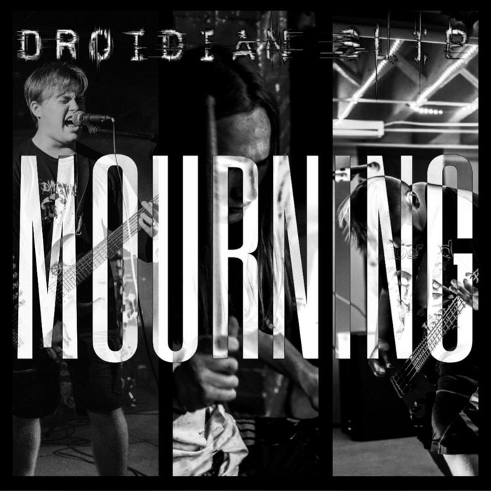 Mourning | Droidian Slip