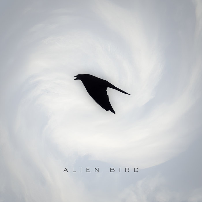 Alien Bird | Alien Bird
