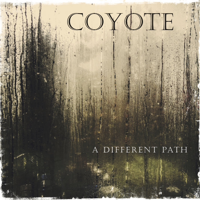 A Different Path | Coyote