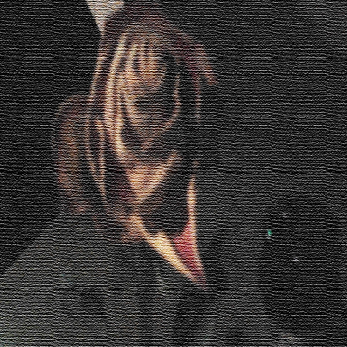 Promo 2010 | Morbid Moribund