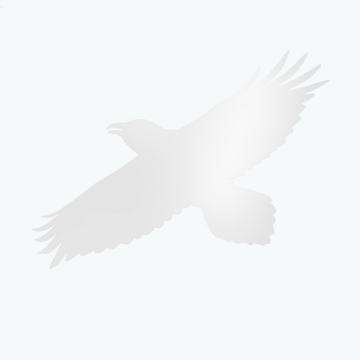 Dvergmál | Sigur Rós, Steindór Andersen, Hilmar Örn Hilmarsson and ...