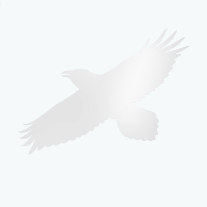 Dvergmál | Sigur Rós, Steindór Andersen, Hilmar Örn Hilmarsson and ...