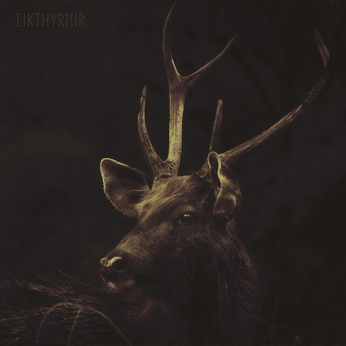 Eikthyrnir | Munknörr