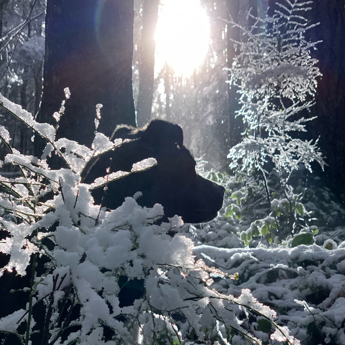 Scenes - ambient and cinematic works | Jay Hosking