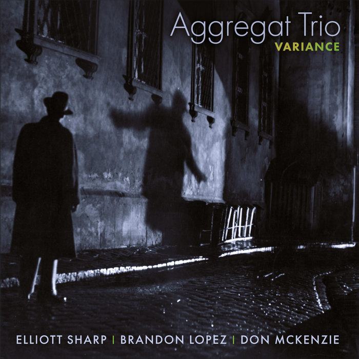 Variance | Elliott Sharp Aggregat