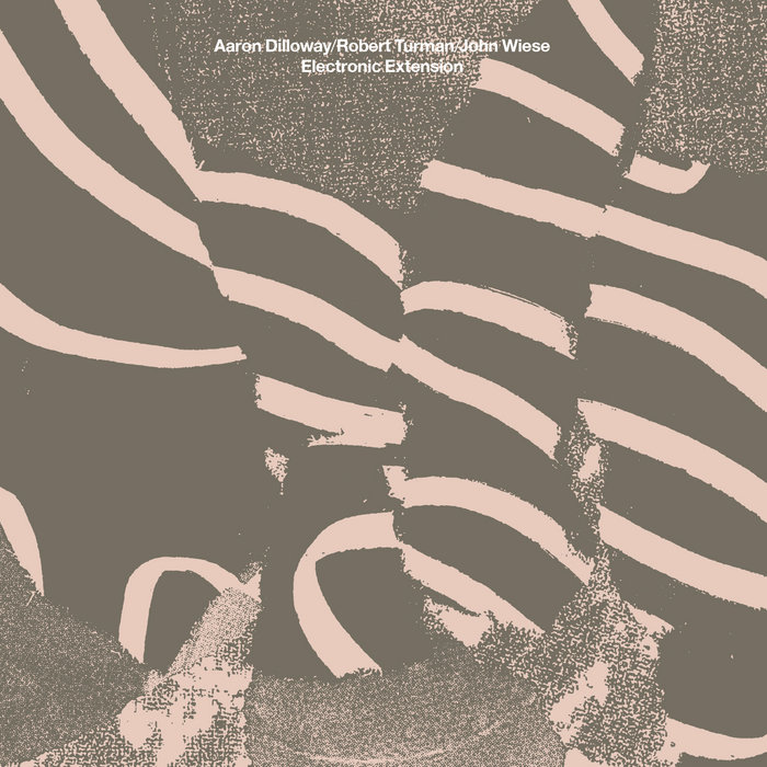 Electronic Extension | Aaron Dilloway/Robert Turman/John Wiese | John Wiese