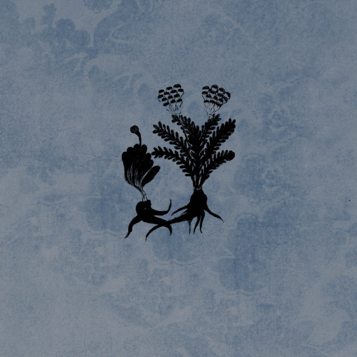 Train Line Triads [Revisited] | Brian Grainger