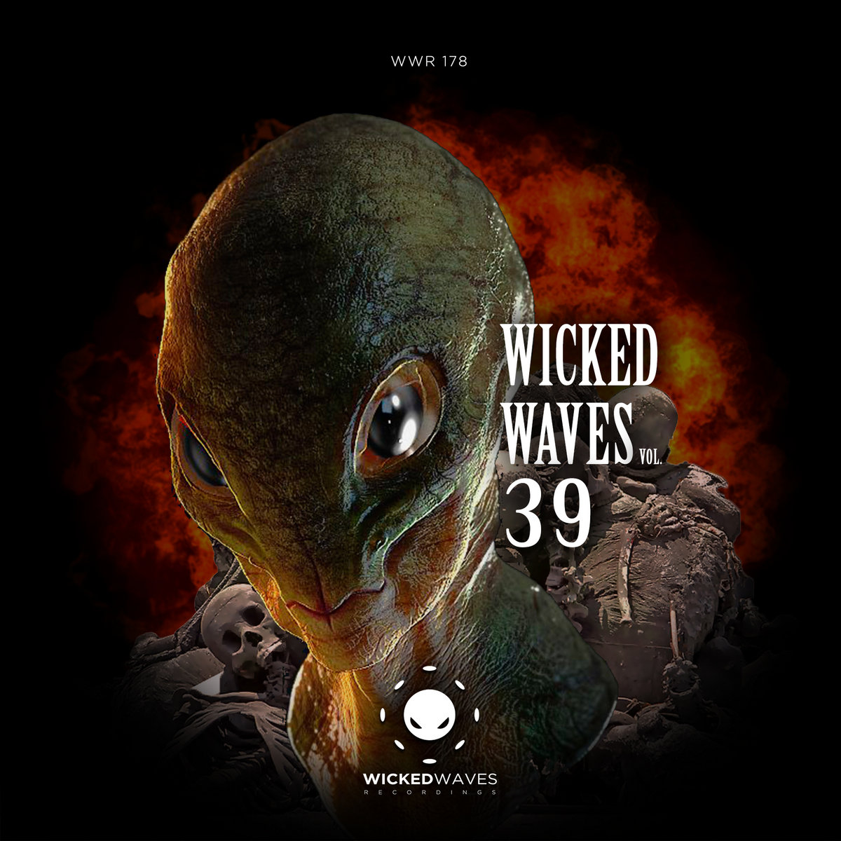 Wicked Waves Vol. 39 [Wicked Waves Recordings] | Various Artists ...