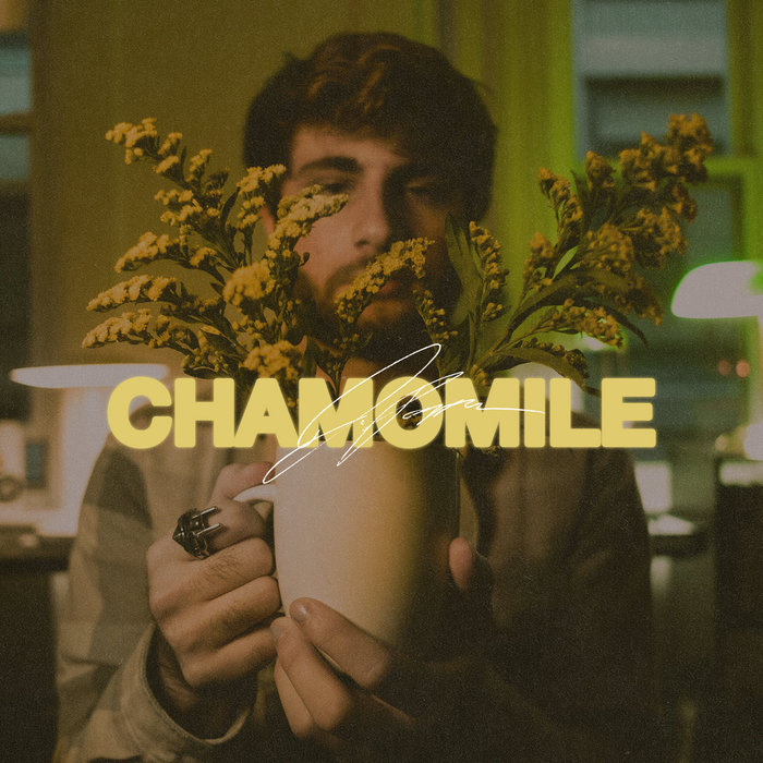 Chamomile | J.Pappas