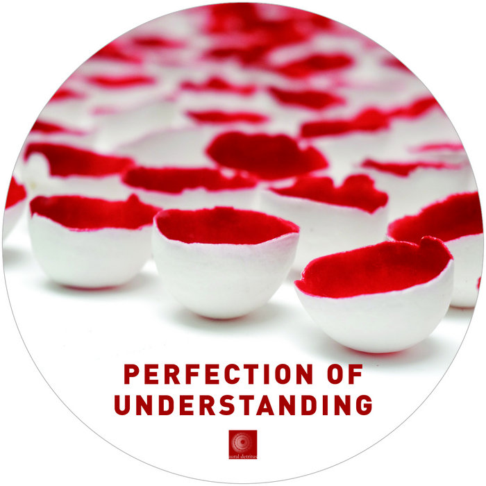 Perfection Of Understanding | Dennis Wong aka SIN:NED, Hui Ye & Vivian ...