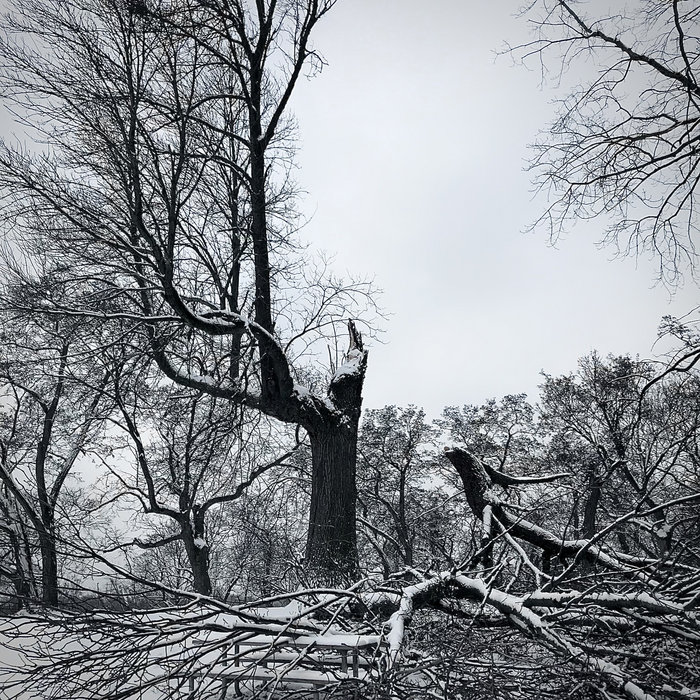 Ghost Therapy | Tilted Head