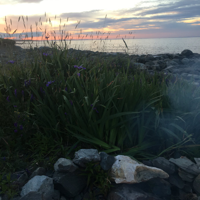 Untitled Album | Cara Lee Coleman