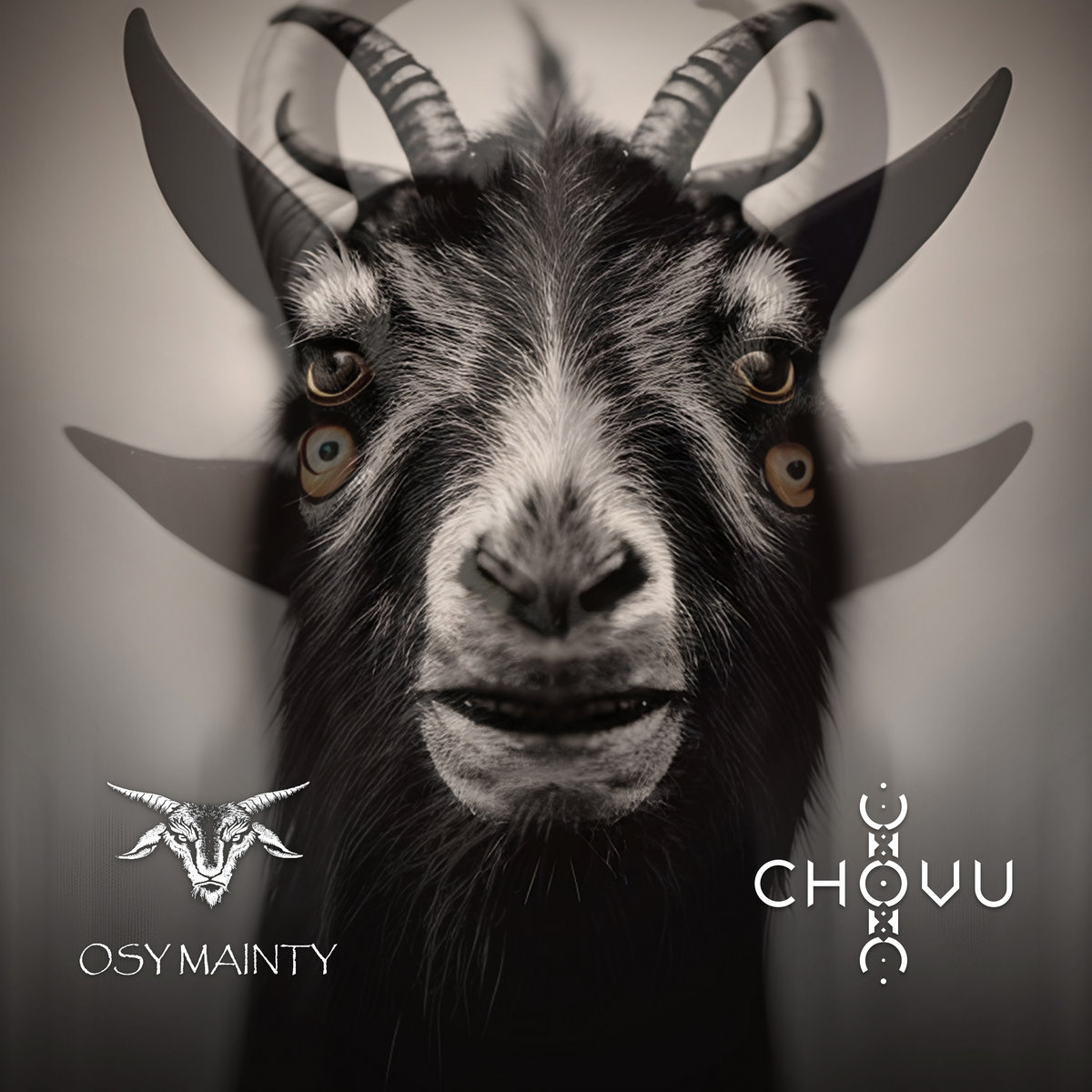 Osy Mainty is Chovu | Chovu and Osy Mainty | CHOVU