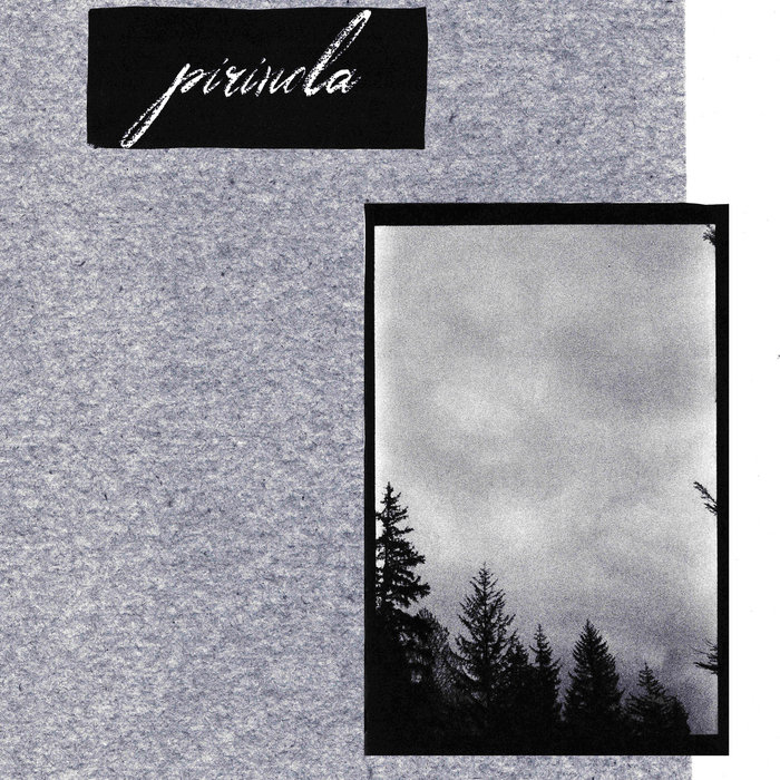 pirinola | Pirinola | thistletticuliciter