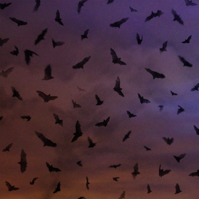 Celebrating The Bat Chapter 2: Into The Night | Various Artists ...