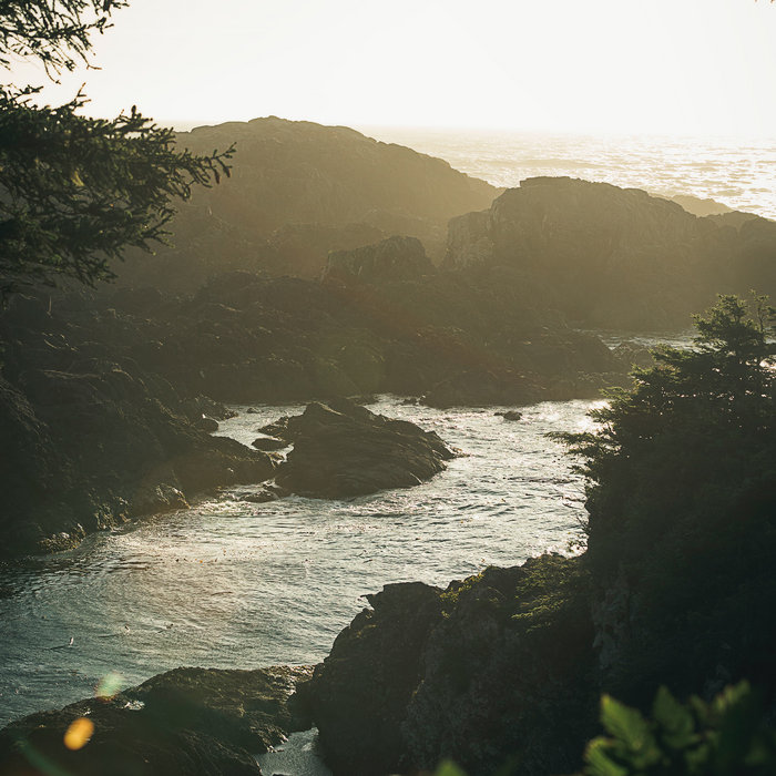 Purity Of The Nature | Craig Robbins | Aether Gaze