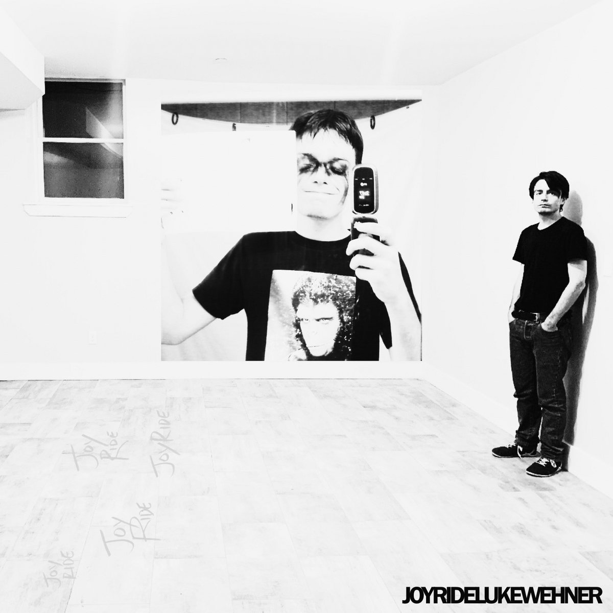 2. Joy Ride (The Decline & Fall of Little Brother Nevermind) | Luke Wehner