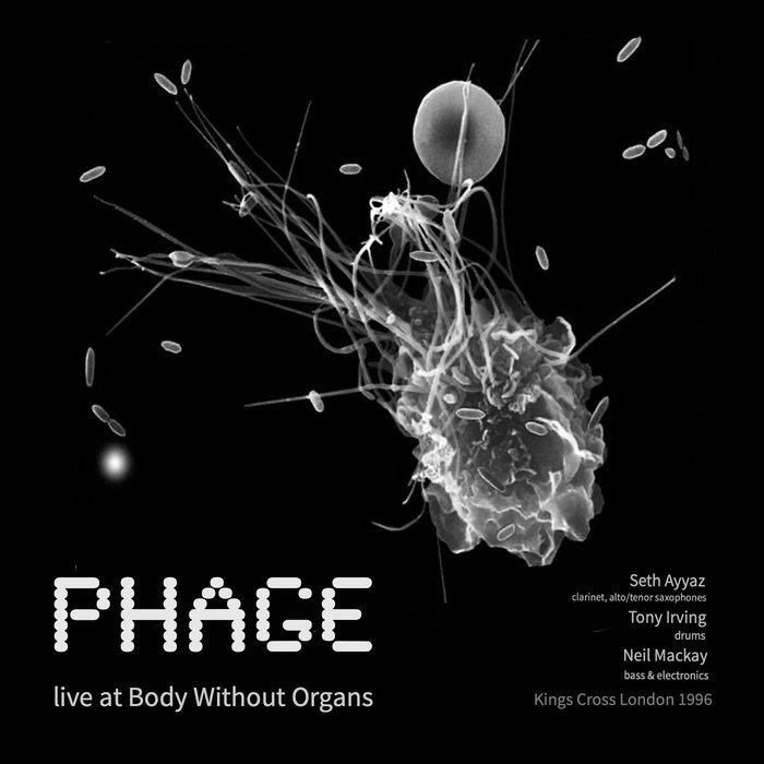 Live at Body Without Organs | PHAGE (Seth Ayyaz, Tony Irving, Neil ...