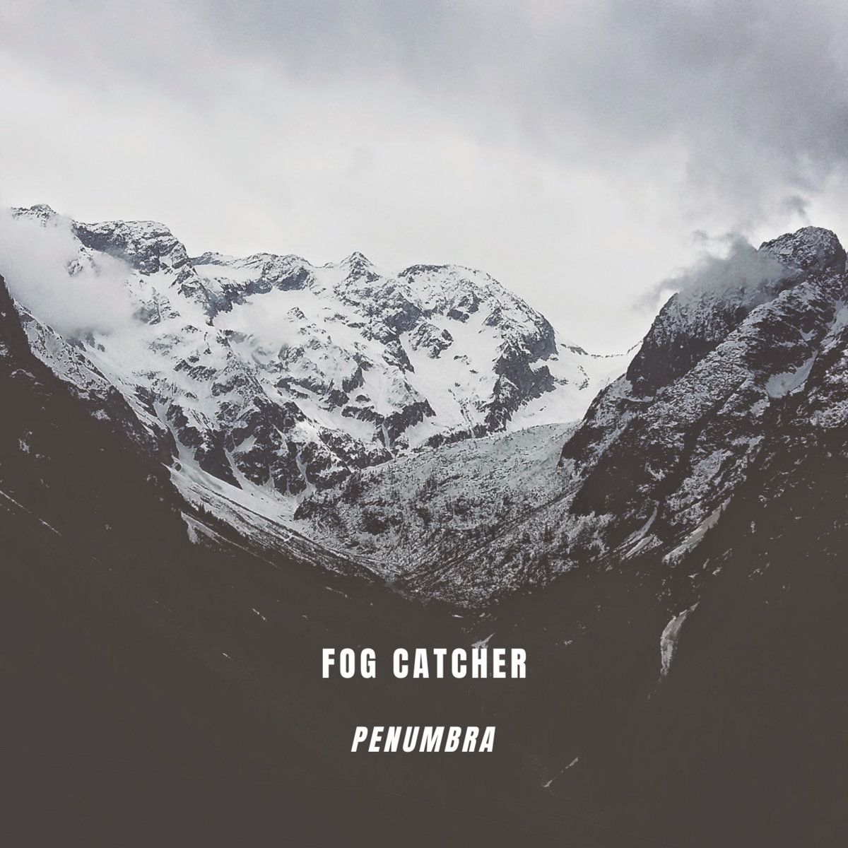 Penumbra | Fog Catcher | Systolic Label