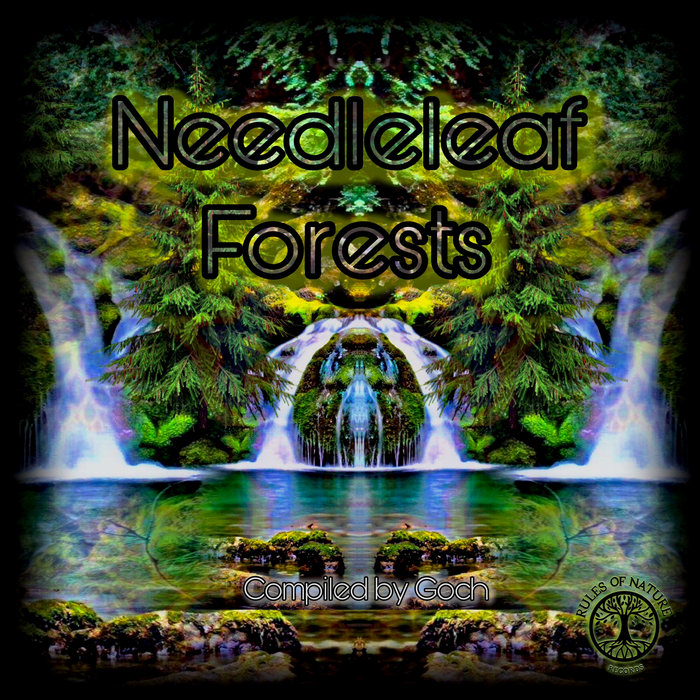 VA - Needleleaf Forests | Rules Of Nature Records