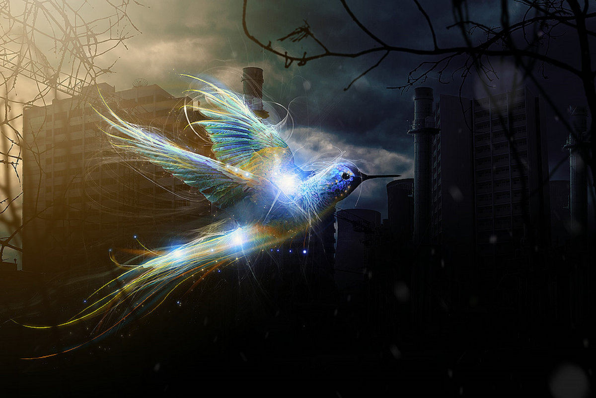 Empire | Mike Braudrick