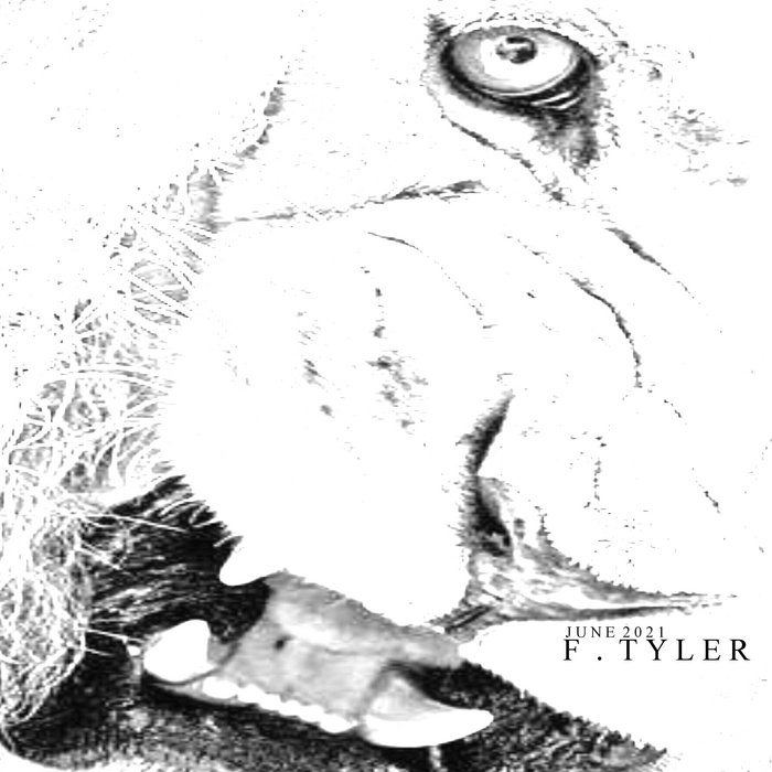 June 2021 (LP) (NOISE) | F. Tyler