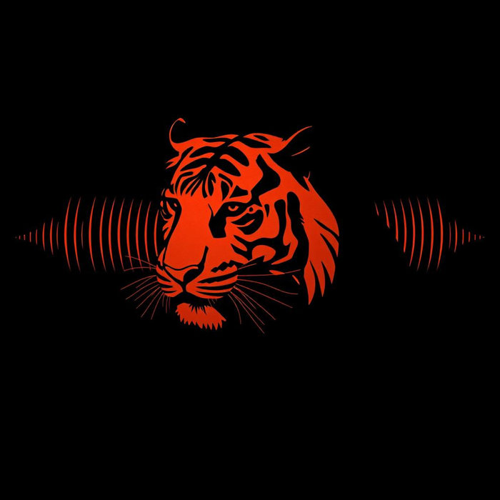 Tiger | James Barbadoro