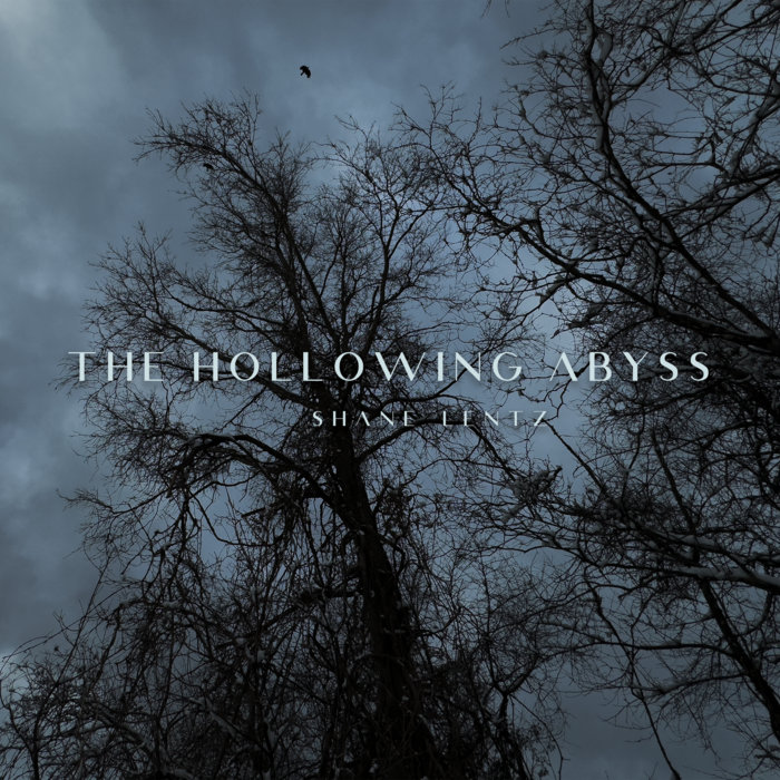The Hollowing Abyss | Shane Lentz