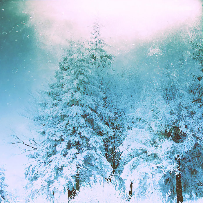 Divining The Last Light | Sun Through Eyelids