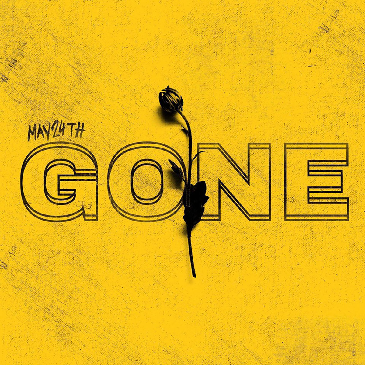 GONE | May 24th