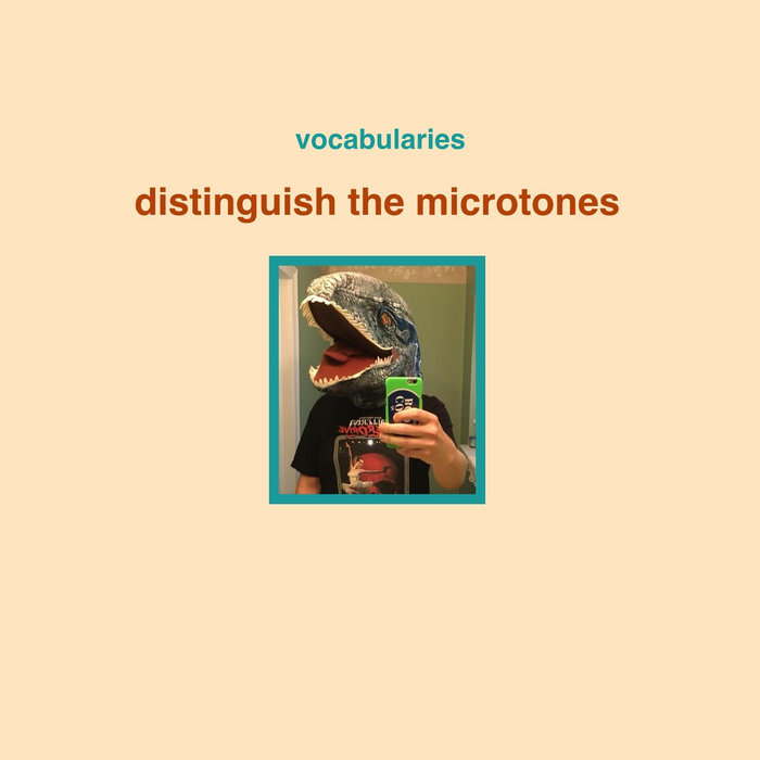distinguish the microtones | Vocabularies