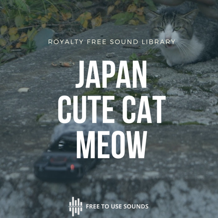 Japanese Cats Meow Sound Effects Library | freetousesounds